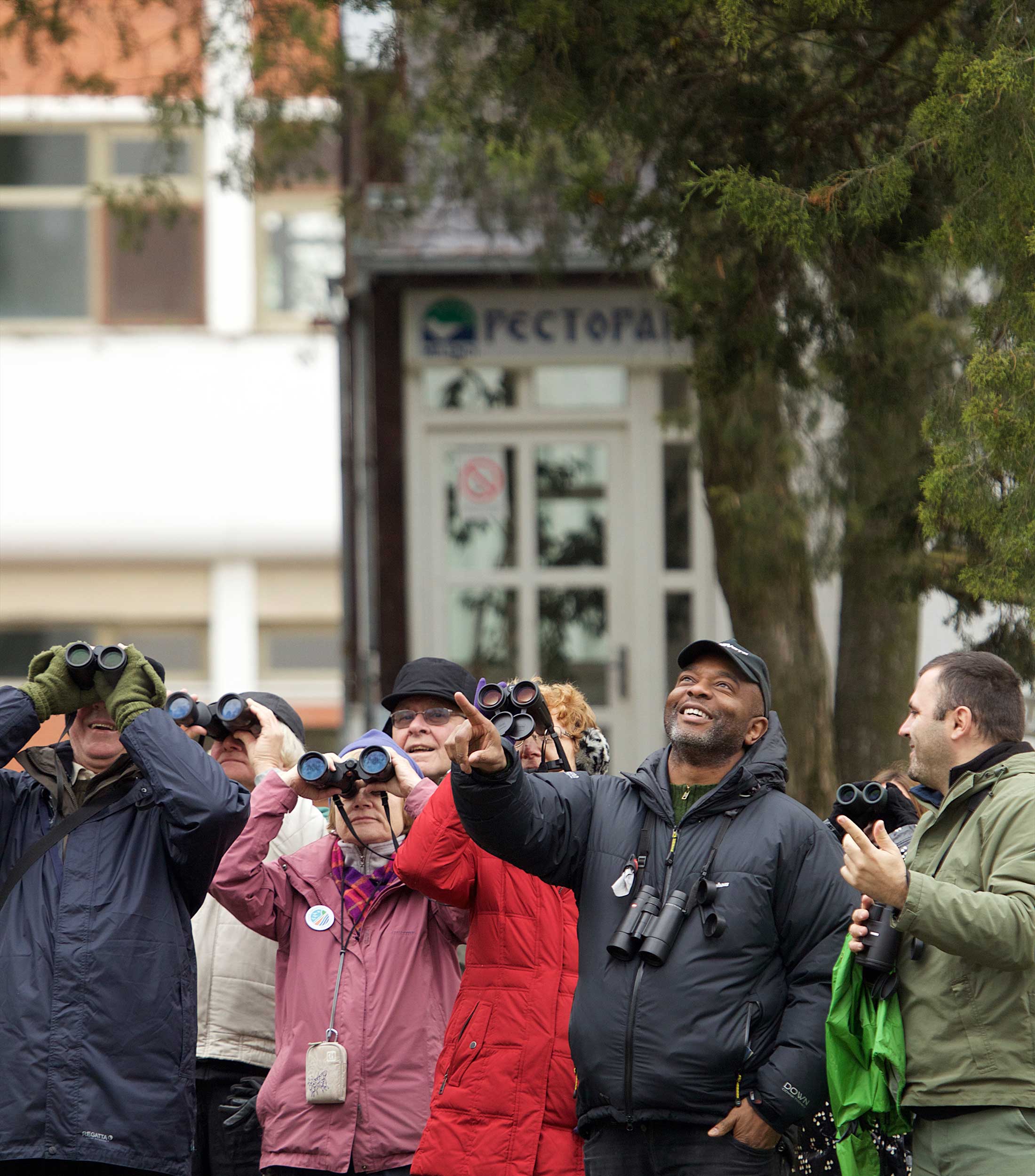 David Lindo » Tours